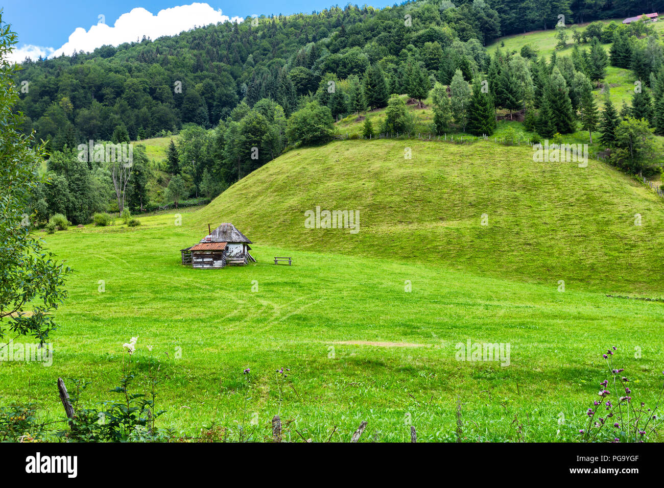 Picturesque mountain landscape with modest house, meadow and forest ...