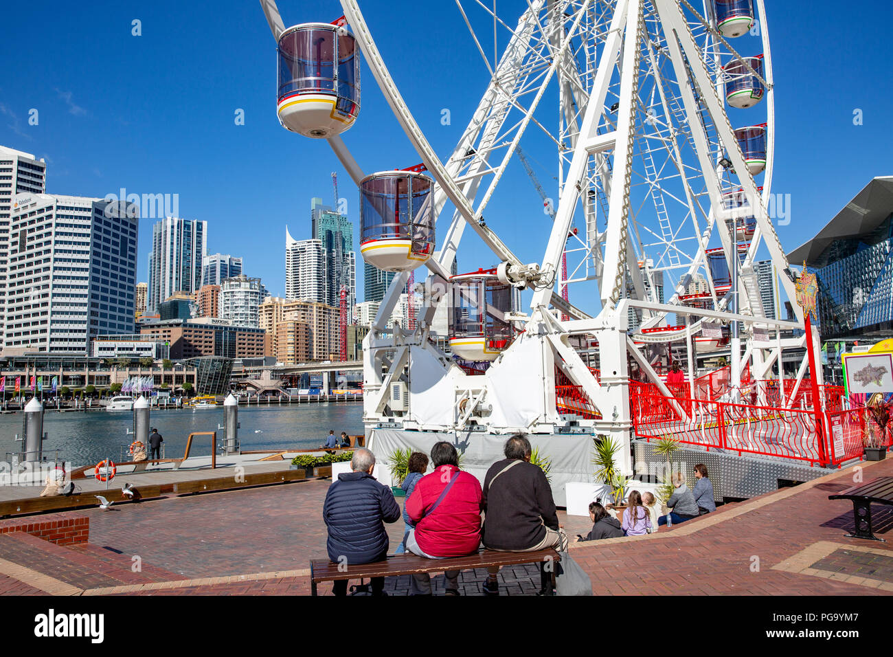 Giant ferris wheel in Darling Harbour,Sydney city centre,Australia ...