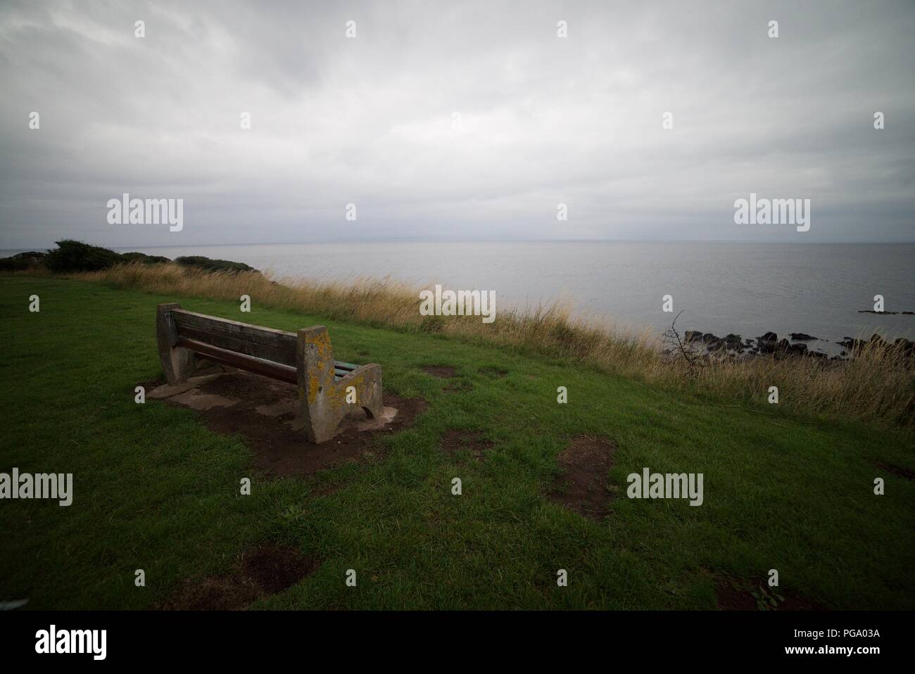 Solo wooden park bench hi-res stock photography and images - Alamy