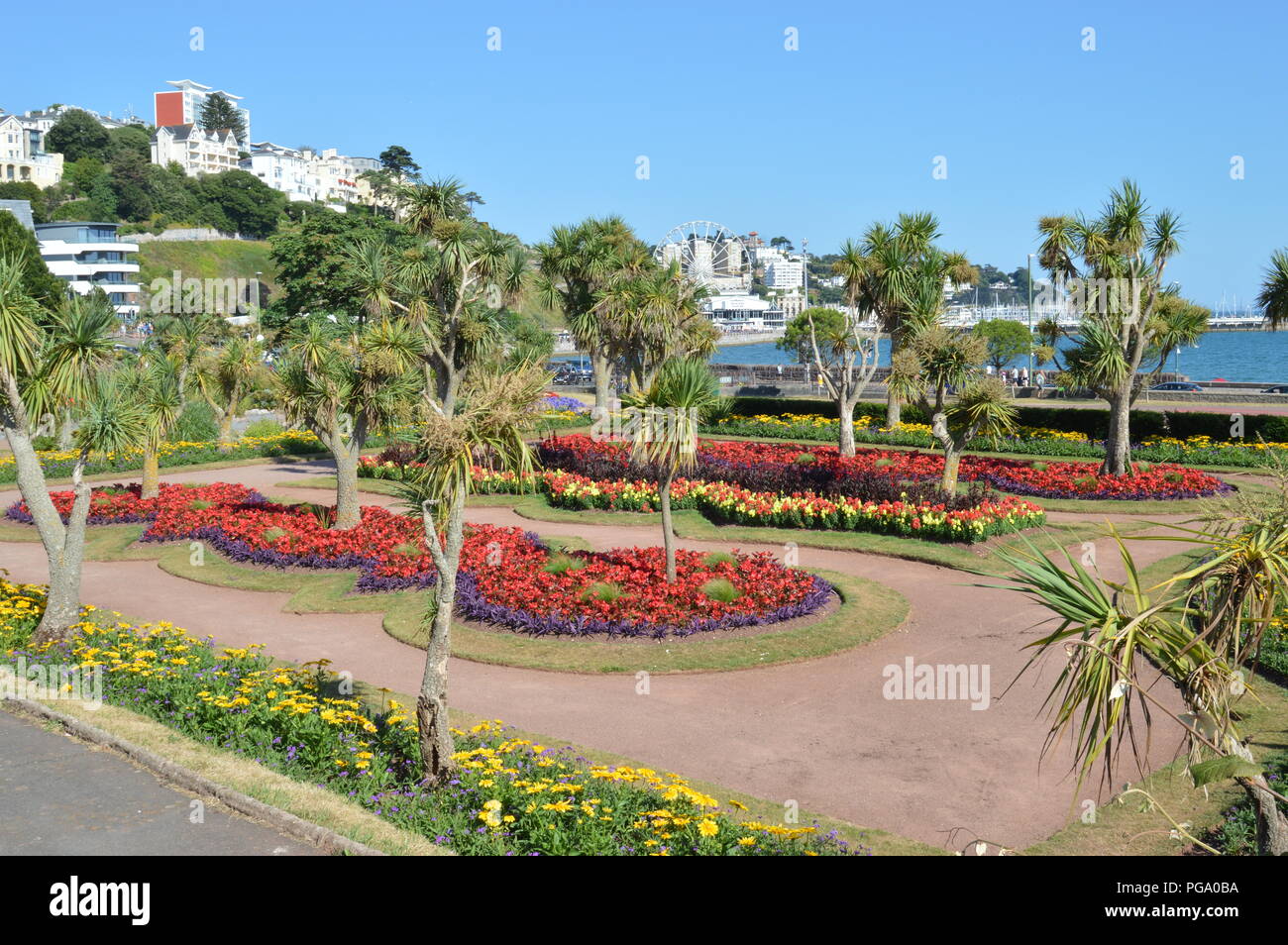 Gardens of palms and other exotic trees, Torquay Harbour, Devon ...