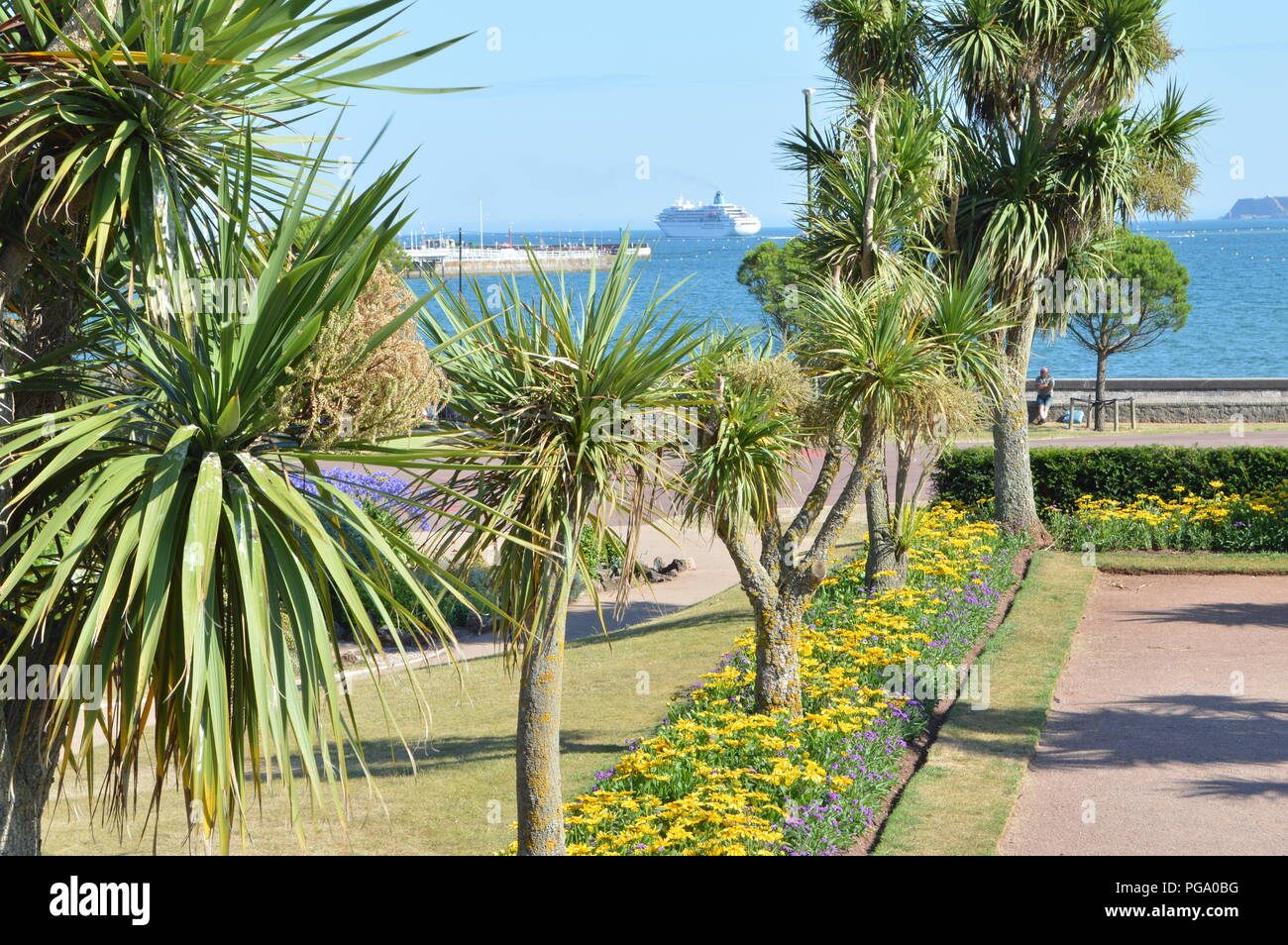 Gardens of palms and other exotic trees, Torquay Harbour, Devon ...