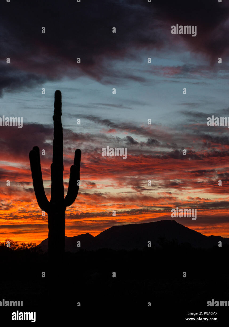 Horizontal photographs hi-res stock photography and images - Alamy