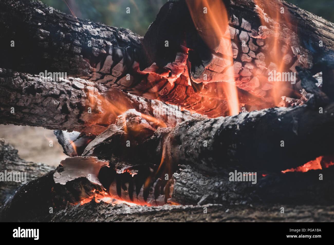 The image of logs in the burning fire. Flame of the burning fire. The ...