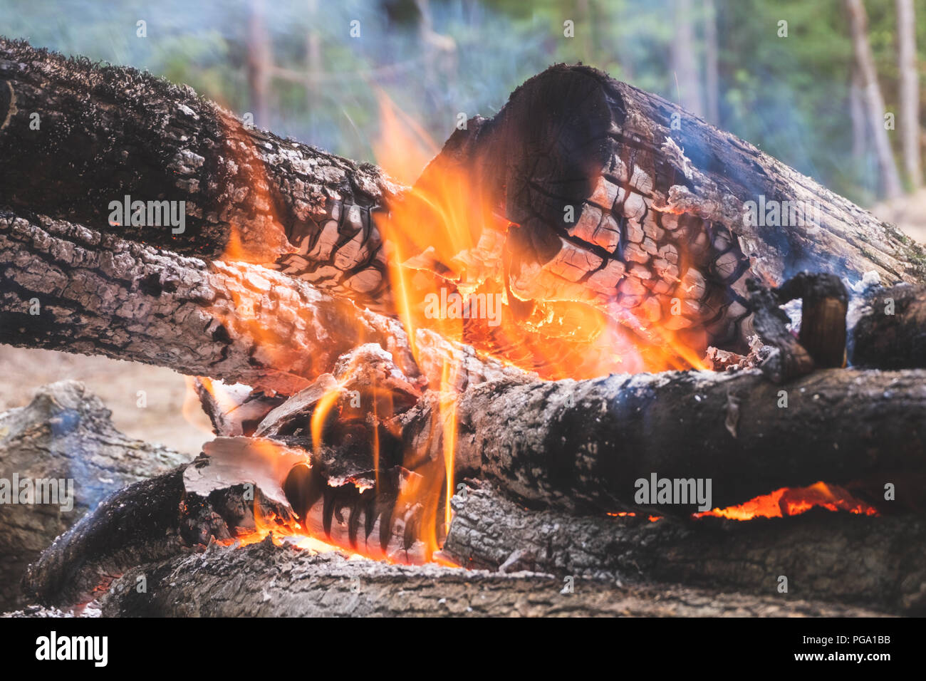The image of logs in the burning fire. Flame of the burning fire. The ...