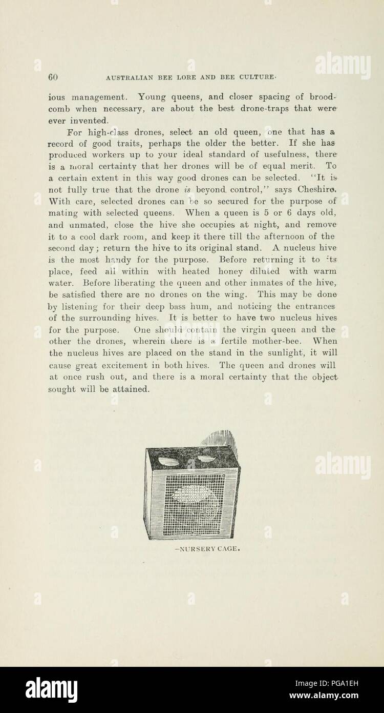 Australian bee lore and bee culture (Page 60 Stock Photo - Alamy