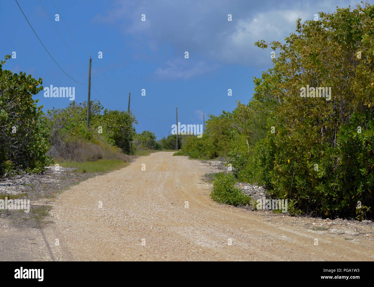 Desolate road in Little Cayman Stock Photo - Alamy