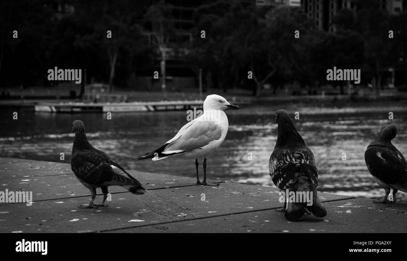 Differences make you unique Stock Photo - Alamy