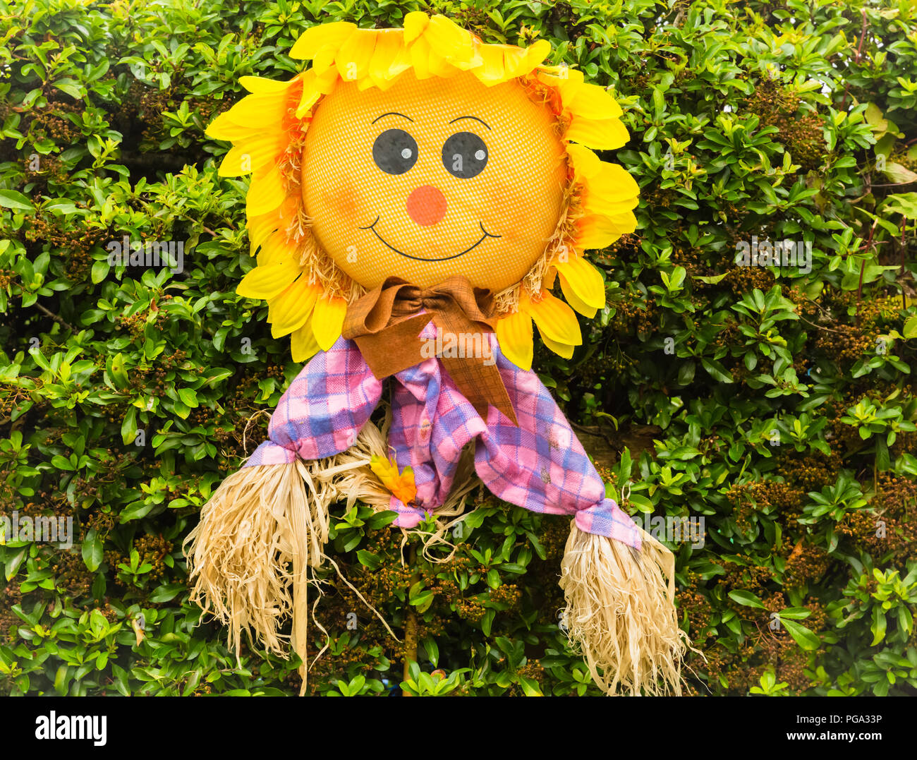 Scarecrow face hi-res stock photography and images - Alamy