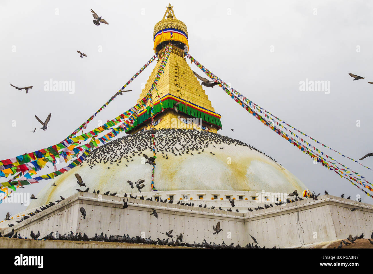 Famous Buddhist Shrine Boudhanath Stupa with Prayer Flags and Pigeons ...