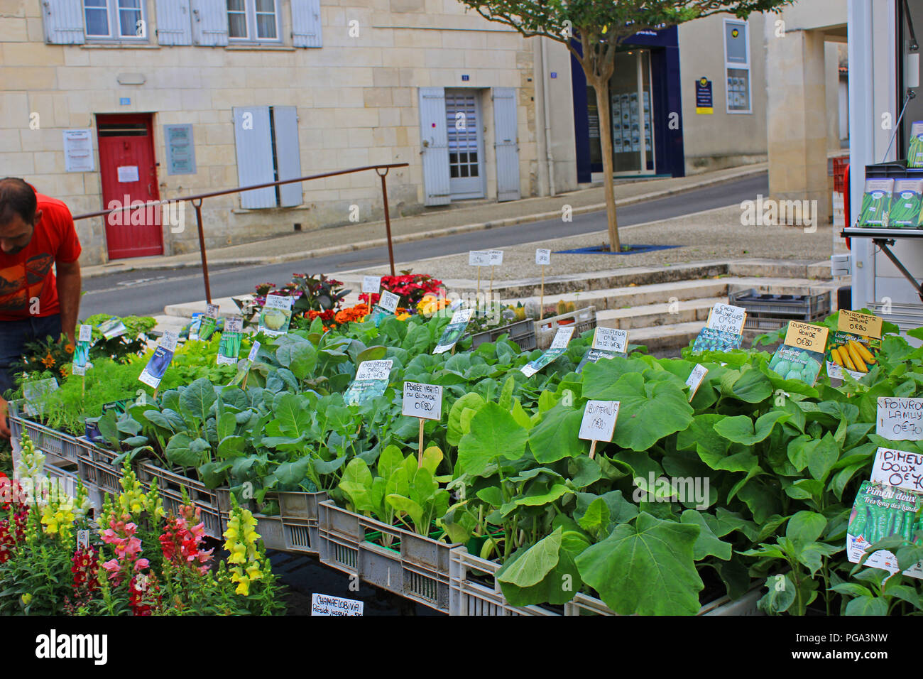 Pons in France is a small ancient French community where people enjoy ...
