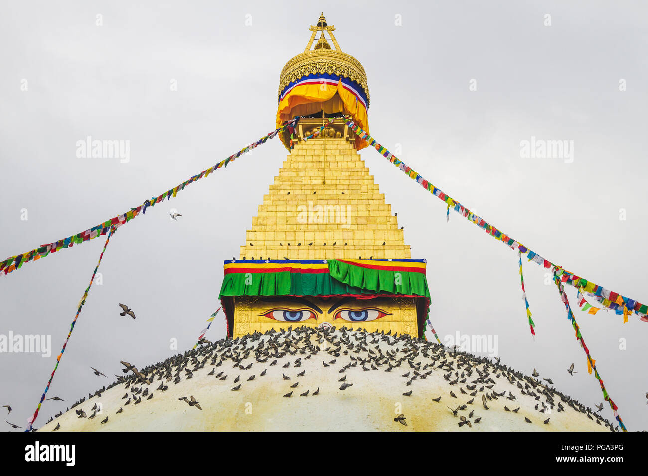 Famous Buddhist Shrine Boudhanath Stupa with Prayer Flags and Pigeons ...