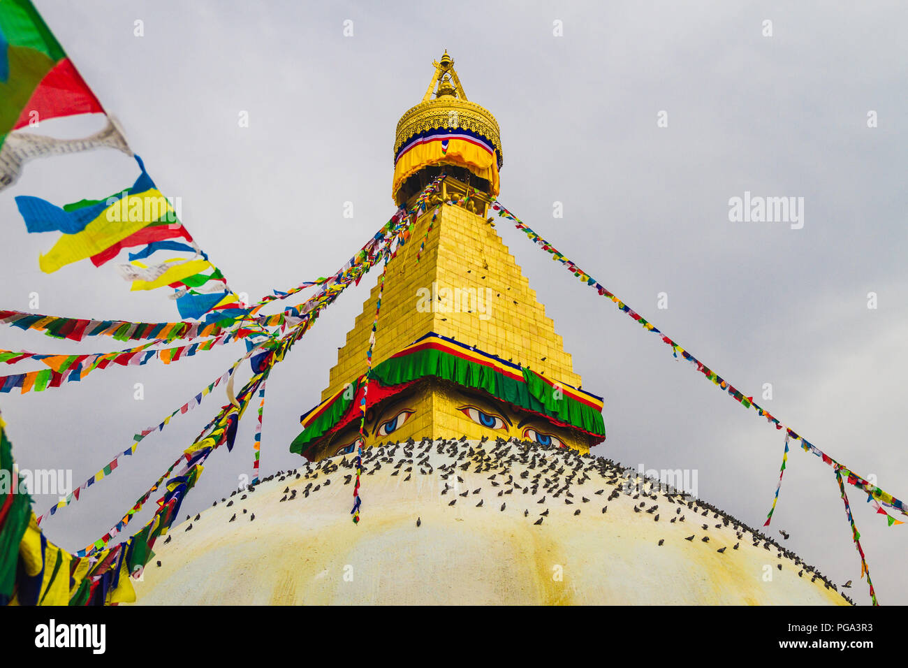 Famous Buddhist Shrine Boudhanath Stupa with Prayer Flags and Pigeons ...