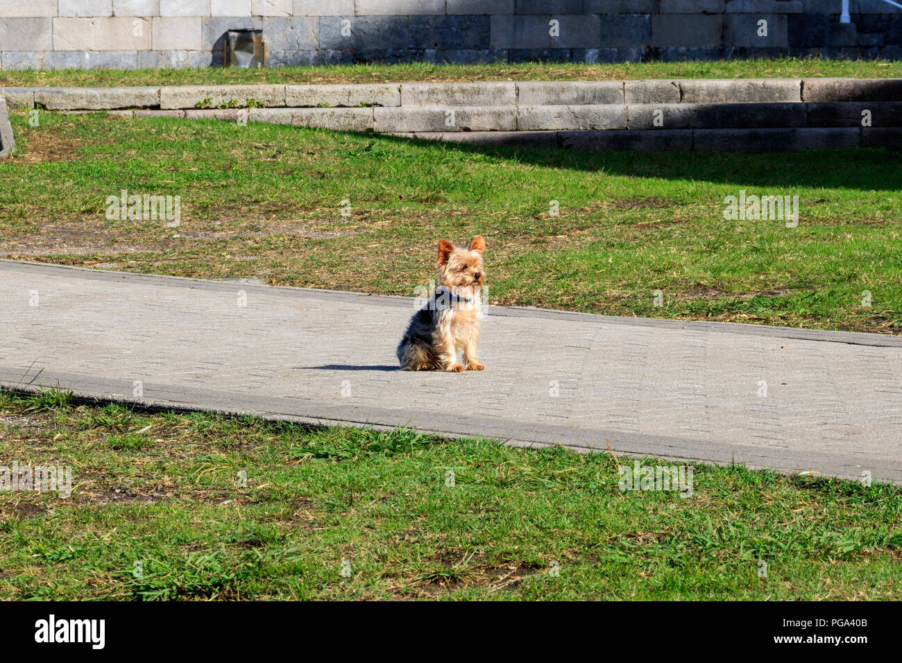 Sitting play hi-res stock photography and images - Alamy