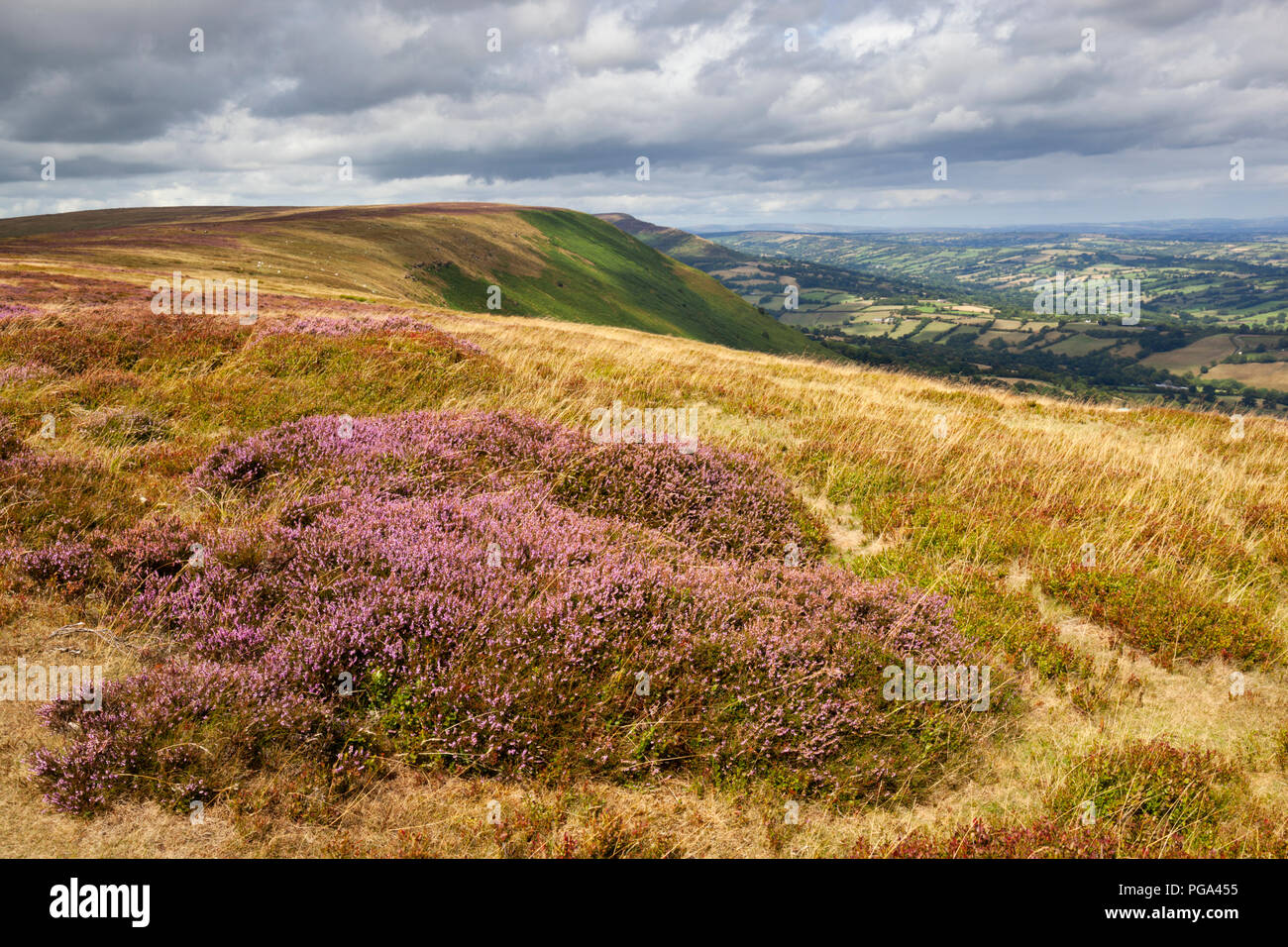 Longtown hi-res stock photography and images - Alamy