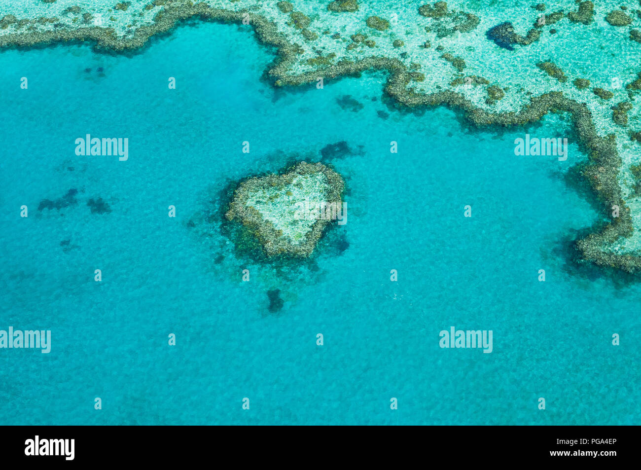 Famous Heart Reef nestled in Great Barrier Reef Stock Photo - Alamy