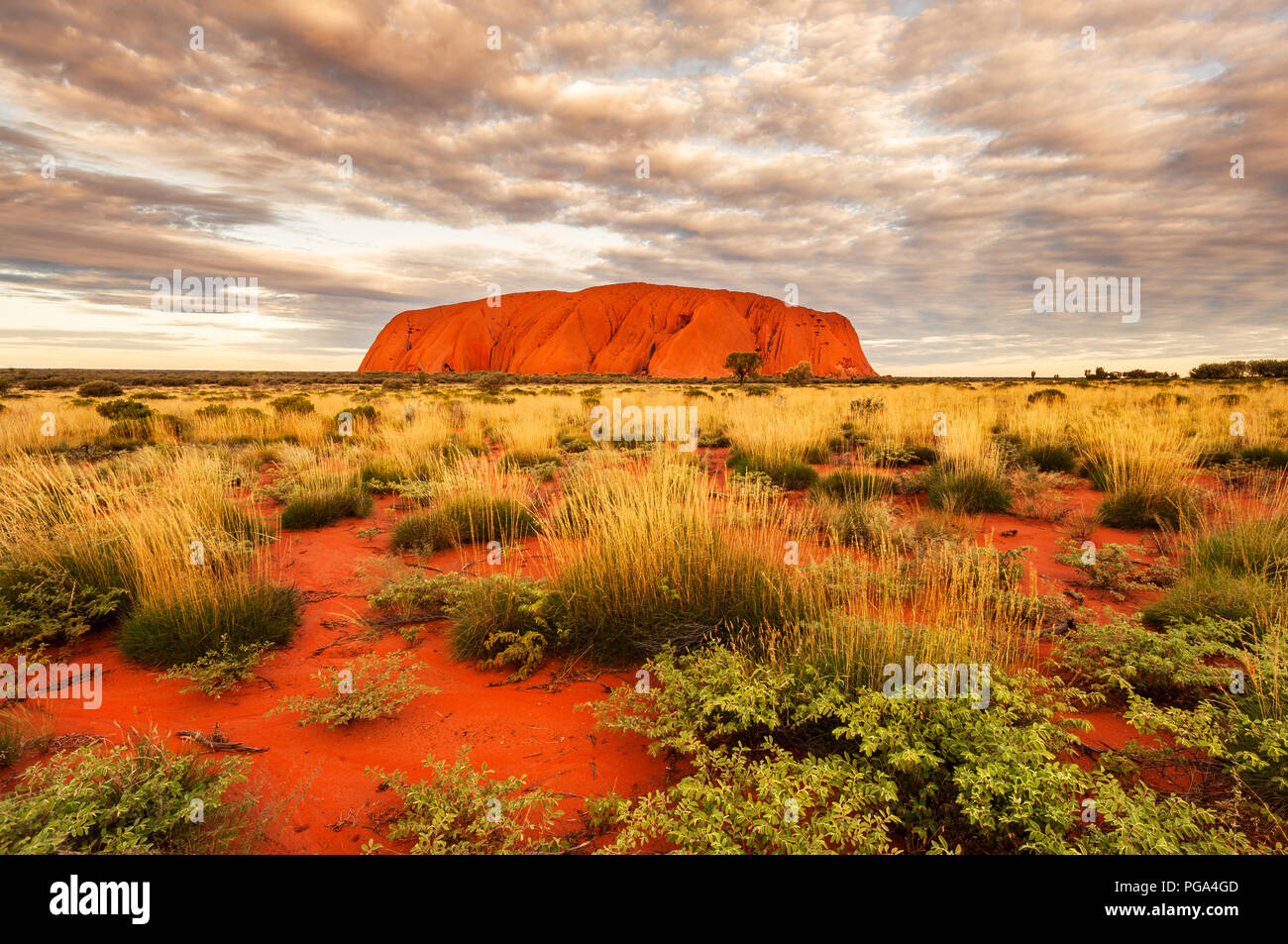 Uluru is one of Australia's most popular icons Stock Photo - Alamy