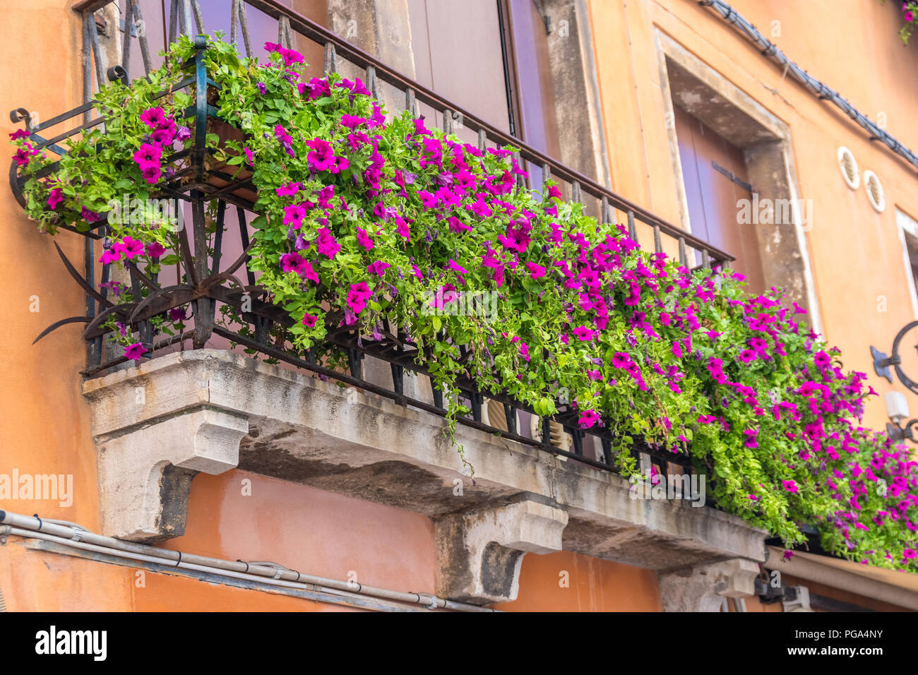 houses with flowers on the windows in venice Stock Photo - Alamy