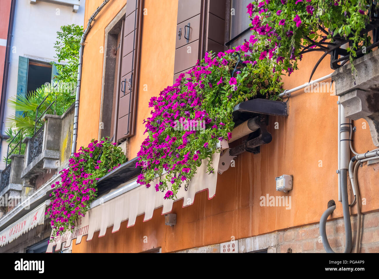 houses with flowers on the windows in venice Stock Photo - Alamy