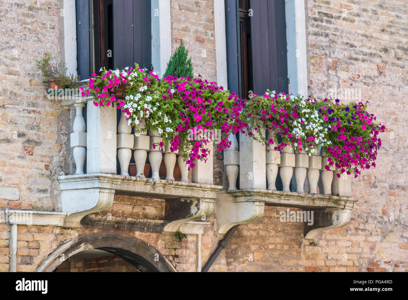 houses with flowers on the windows in venice Stock Photo - Alamy