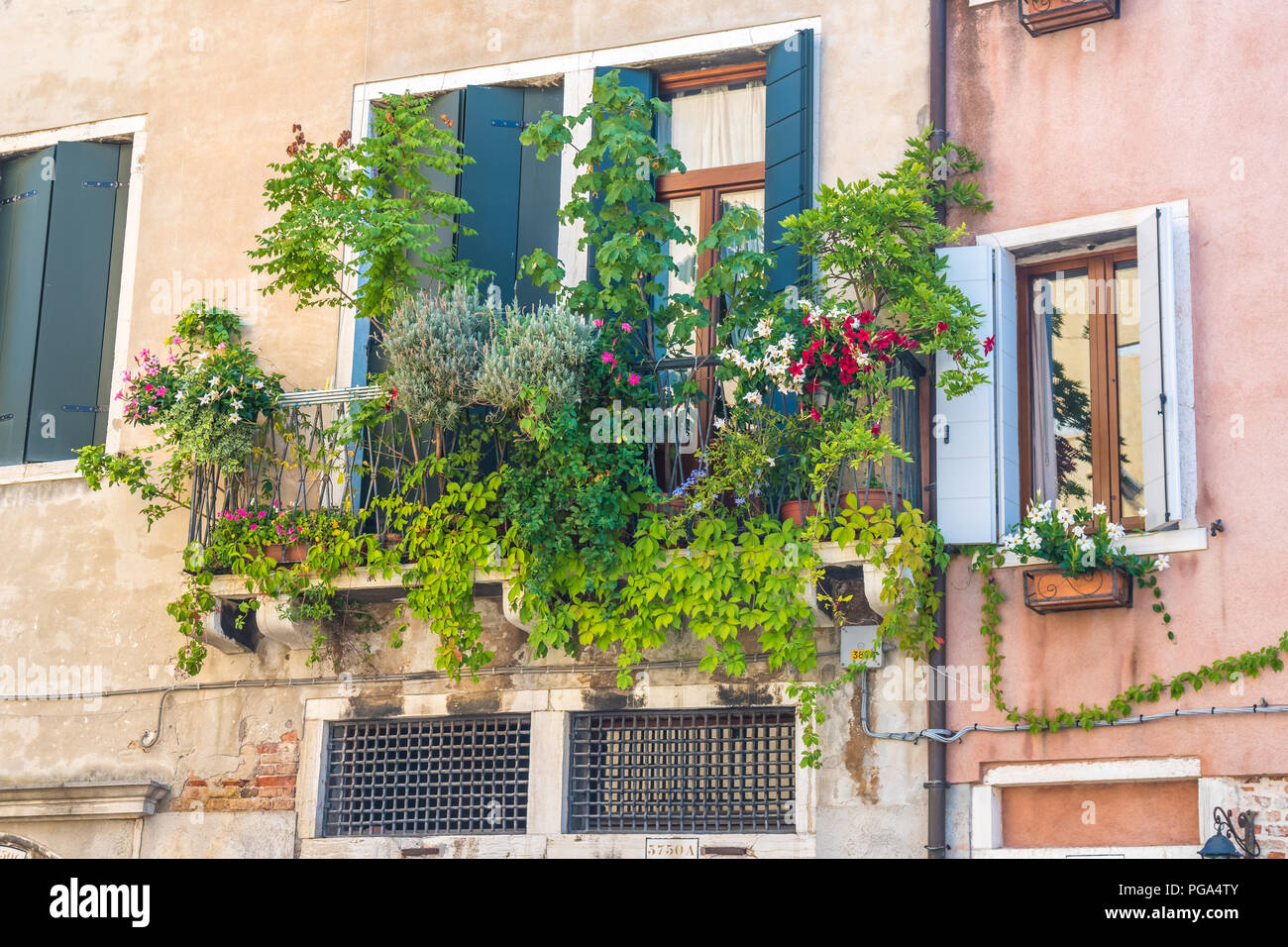 houses with flowers on the windows in venice Stock Photo - Alamy