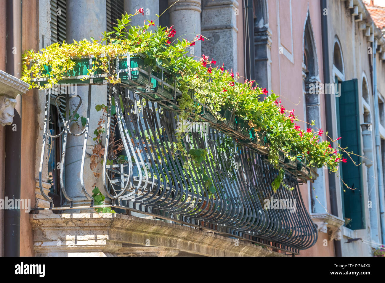 houses with flowers on the windows in venice Stock Photo - Alamy