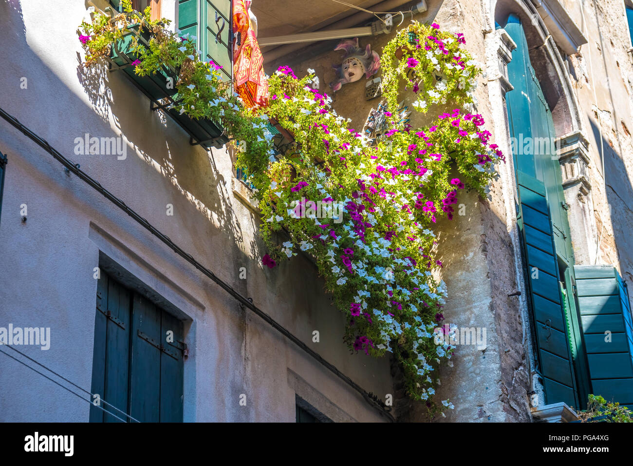 houses with flowers on the windows in venice Stock Photo - Alamy