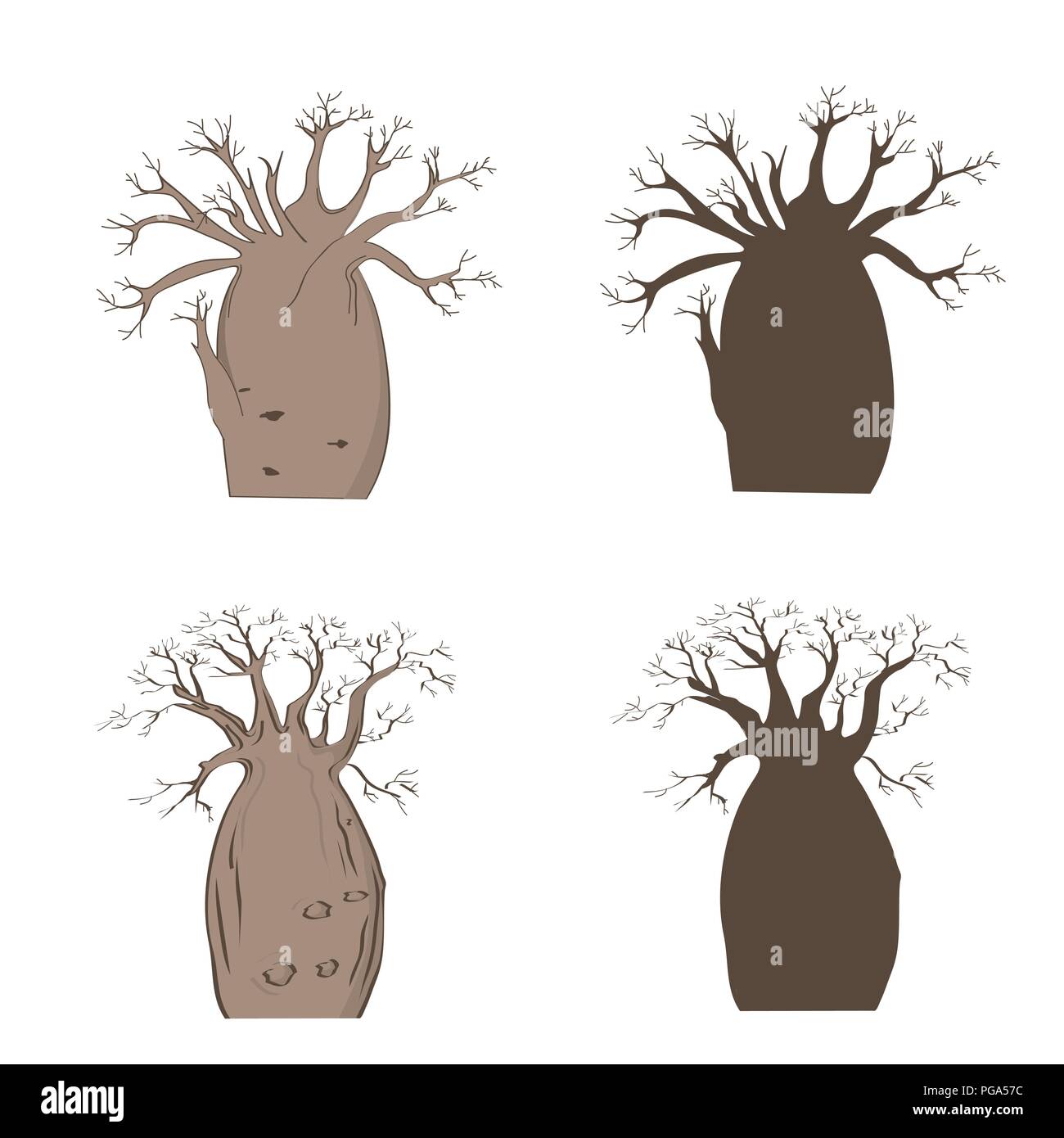 African Iconic Tree Vector Baobab Set Adansonia Gregorii Silhouette