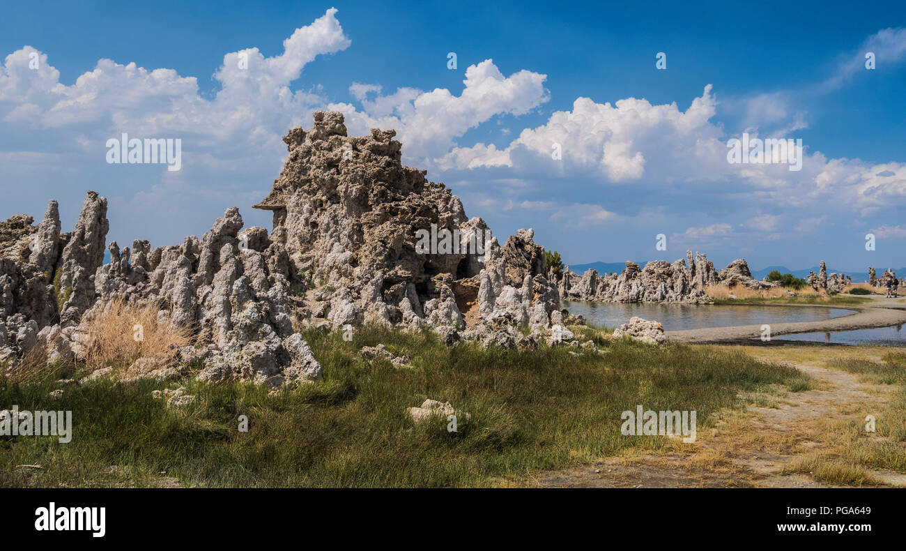 calcium carbonate, limestone, formations in mono lake, ca us Stock ...