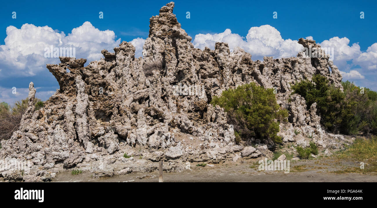 calcium carbonate, limestone, formations in mono lake, ca us Stock ...