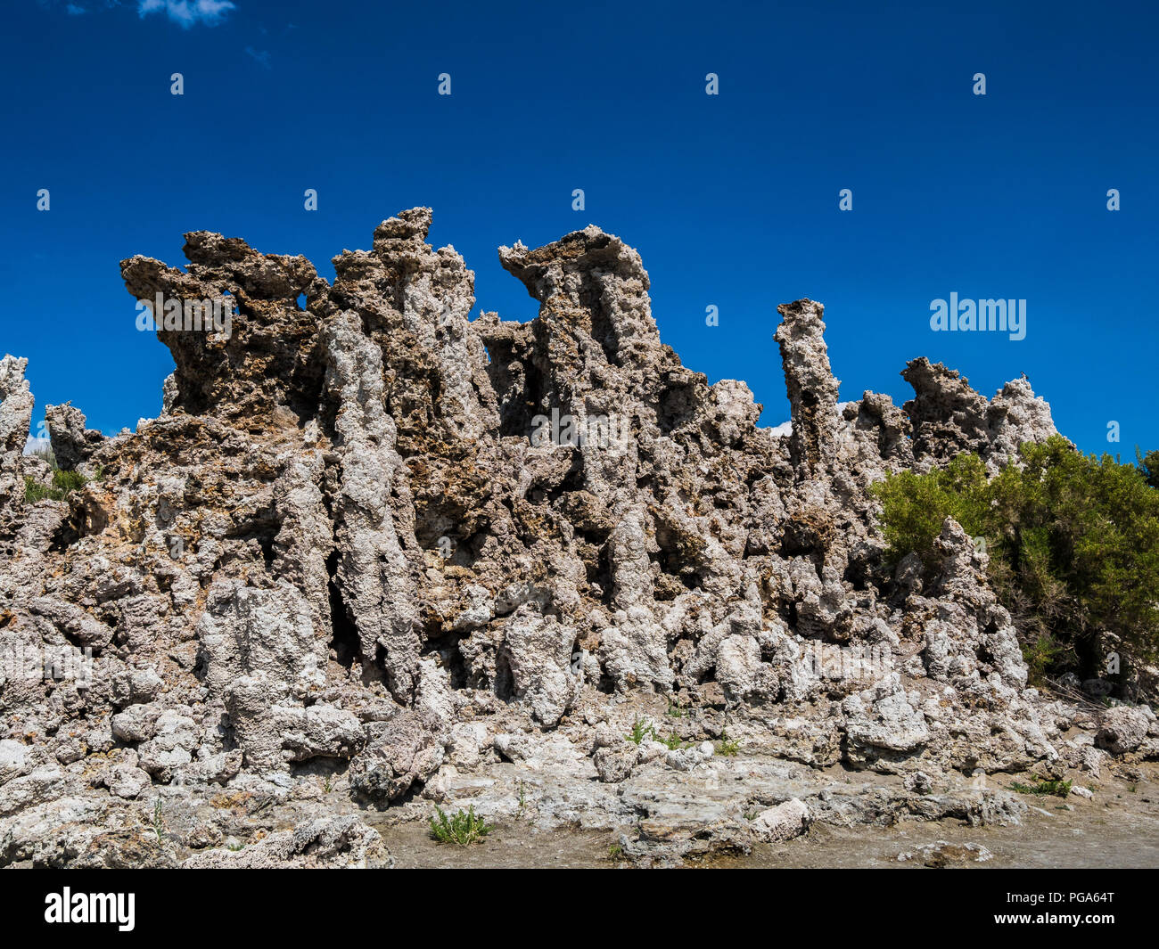 calcium carbonate, limestone, formations in mono lake, ca us Stock ...