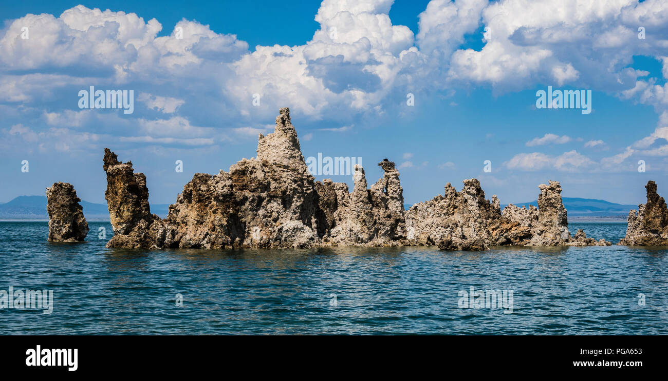 calcium carbonate, limestone, formations in mono lake, ca us Stock ...