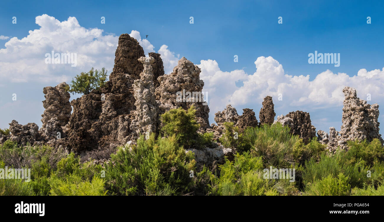 calcium carbonate, limestone, formations in mono lake, ca us Stock ...