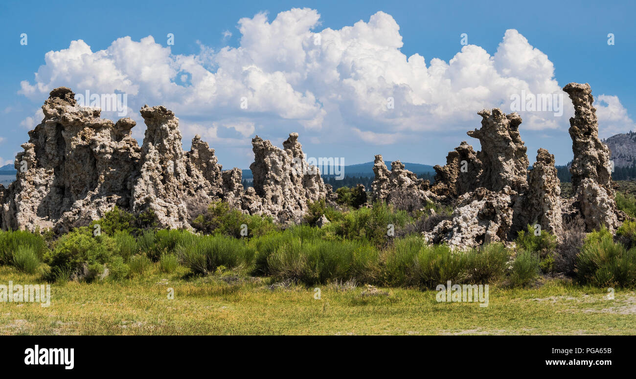 calcium carbonate, limestone, formations in mono lake, ca us Stock ...