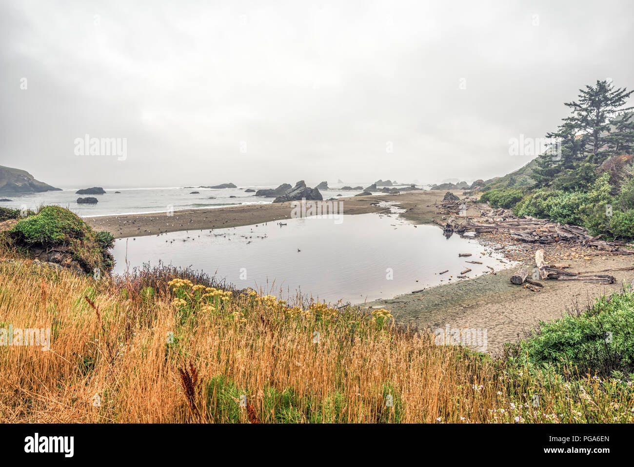 Harris Beach State Park. Southern Oregon coast, USA Stock Photo - Alamy