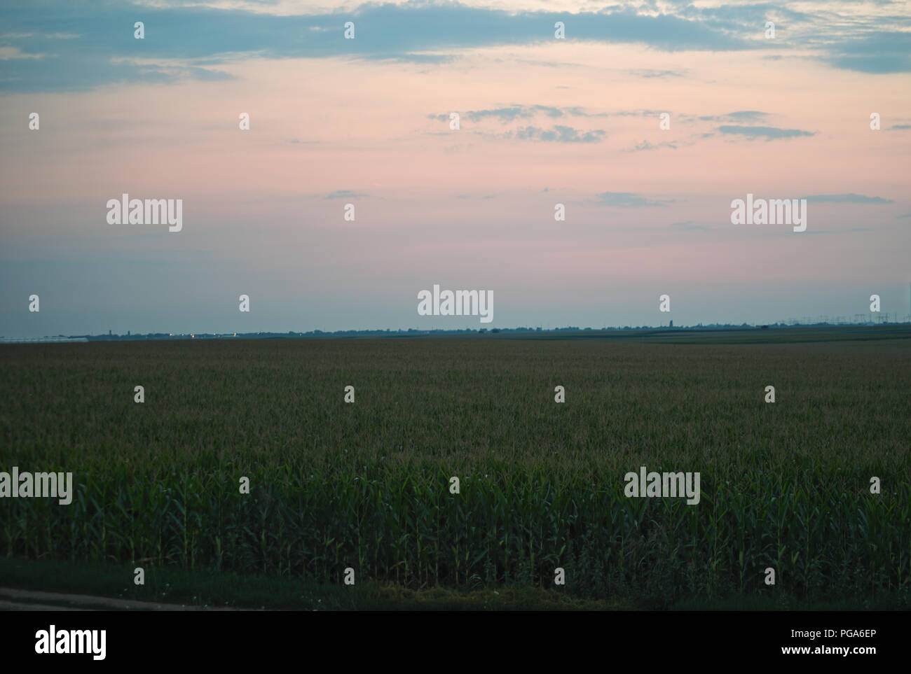 Beautiful summer sunset over field hi-res stock photography and images ...