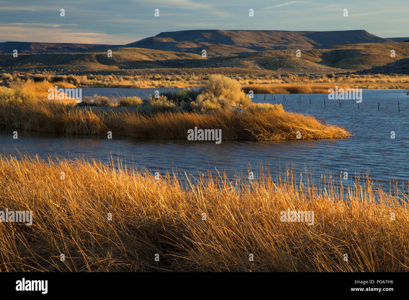 Sheldon national wildlife refuge hi-res stock photography and images ...