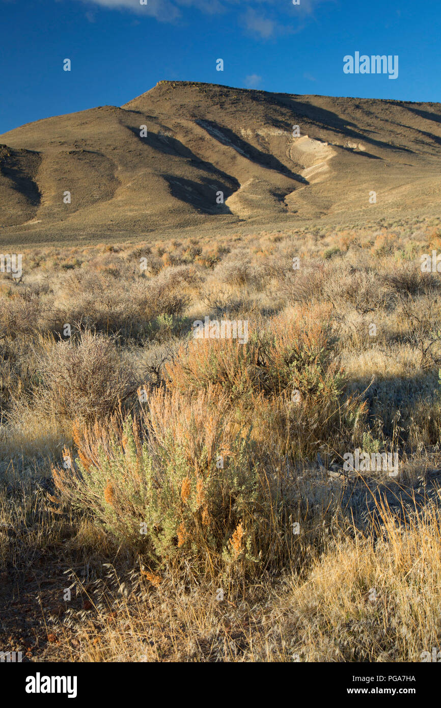 Flat Top Butte, Sheldon National Wildlife Refuge, Nevada Stock Photo ...
