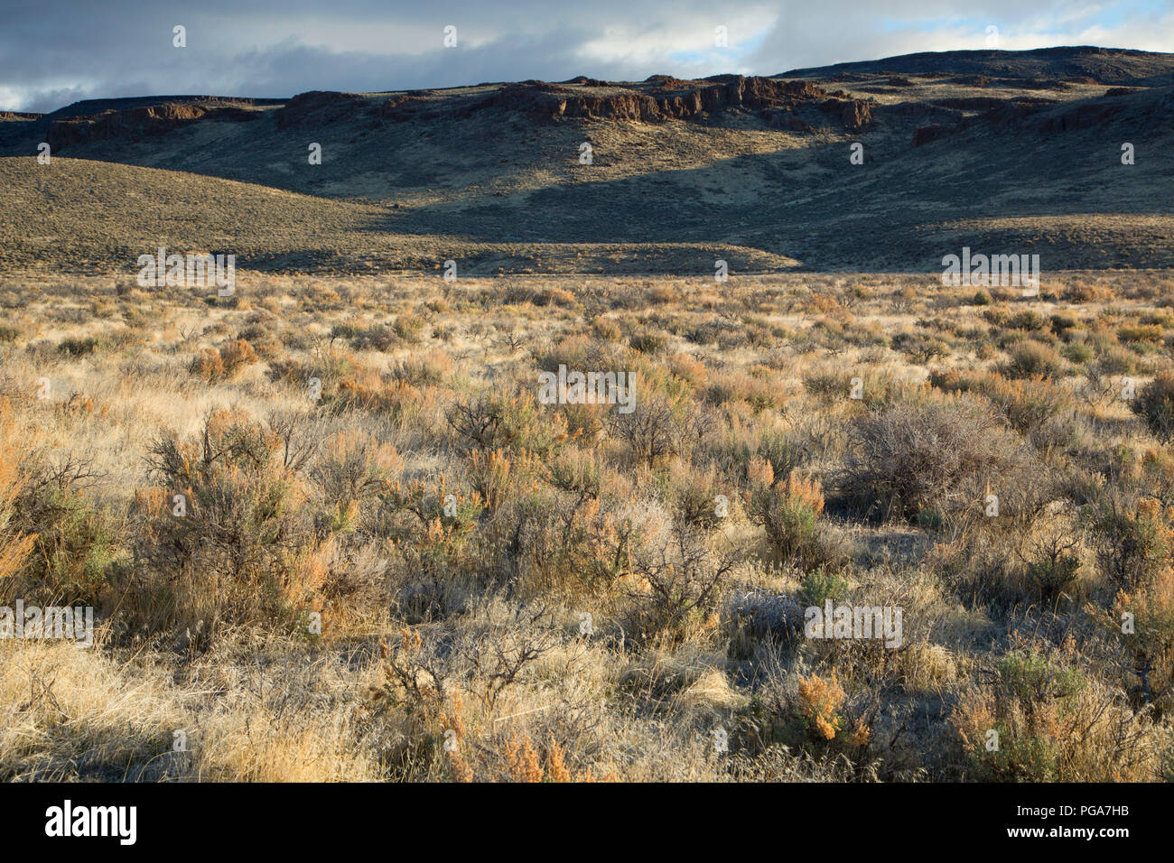 Desert along Kinney Camp Road, Sheldon National Wildlife Refuge, Nevada ...
