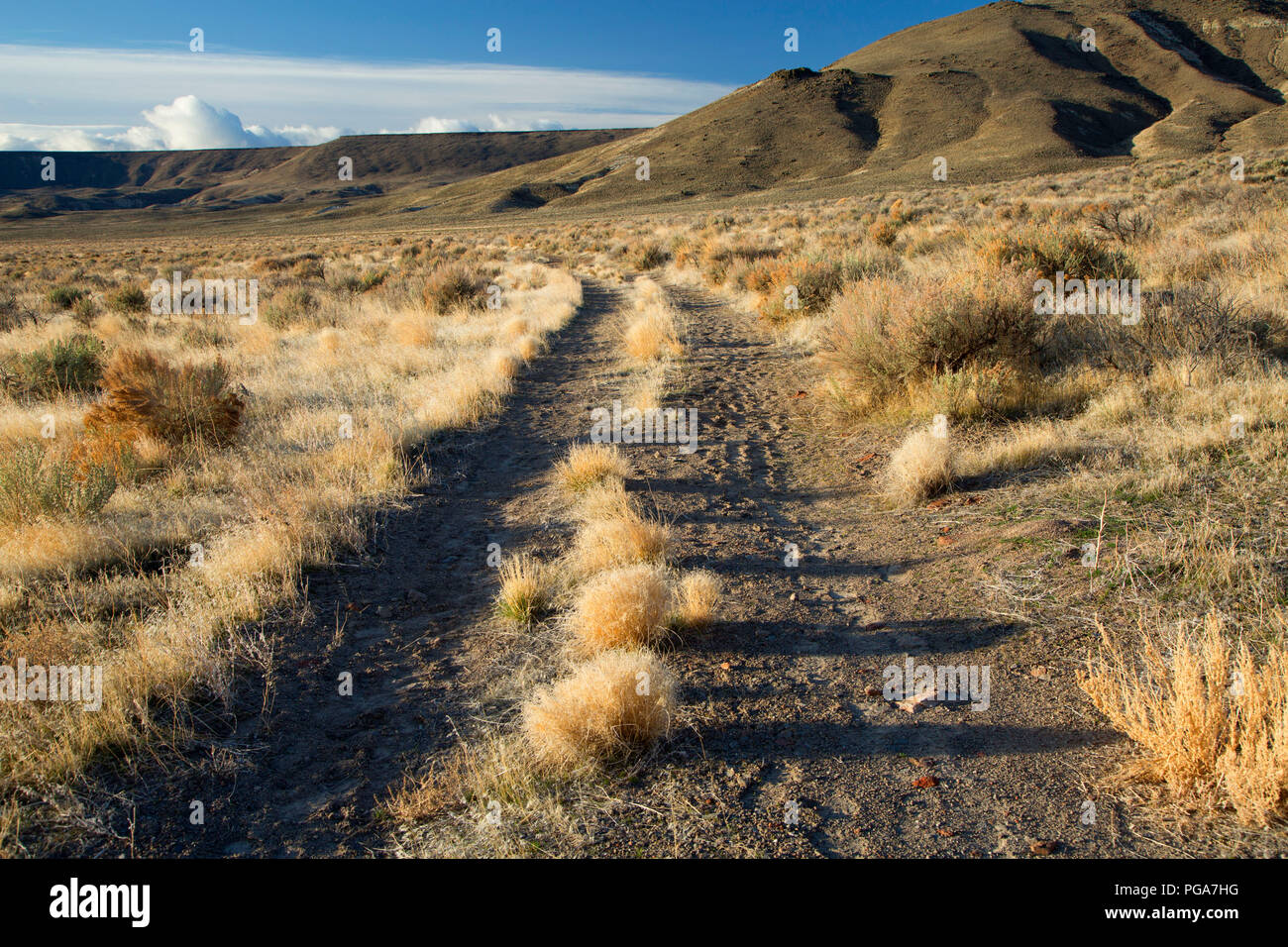Kinney Camp Road, Sheldon National Wildlife Refuge, Nevada Stock Photo ...
