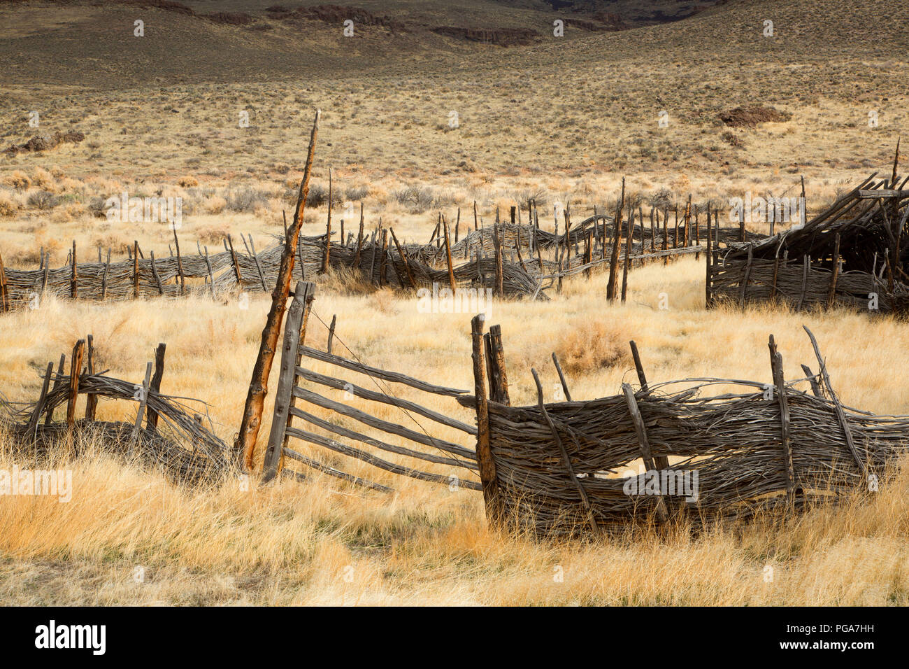 Kinney Camp, Sheldon National Wildlife Refuge, Nevada Stock Photo - Alamy