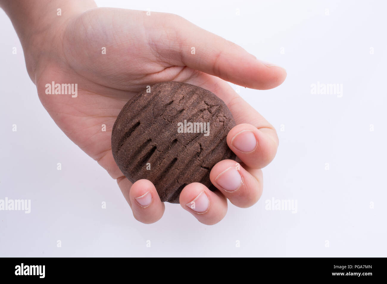 Hand holding a chocolate cookie on a white background Stock Photo - Alamy
