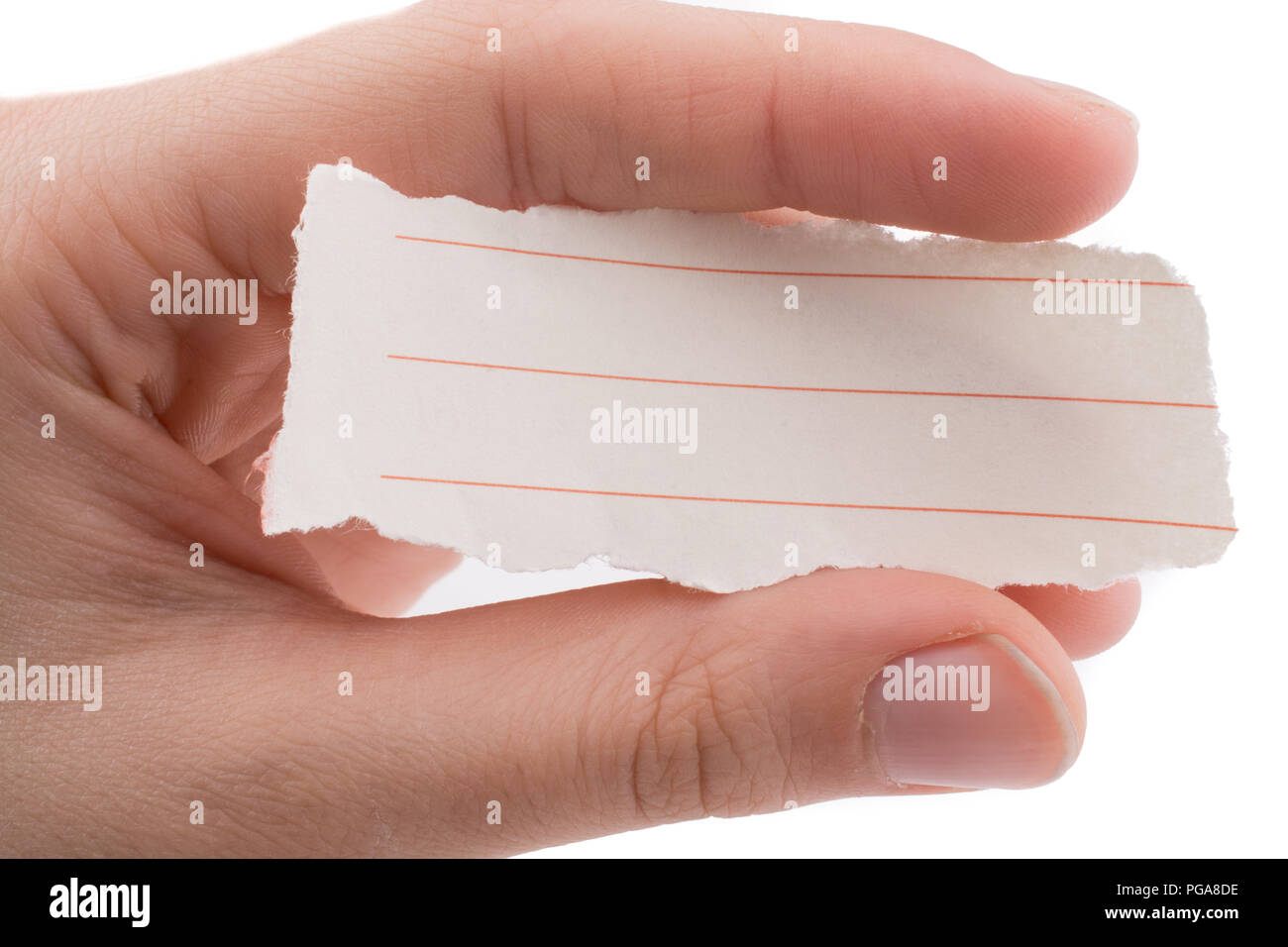 Hand holding a piece of torn lined paper on a white background Stock ...
