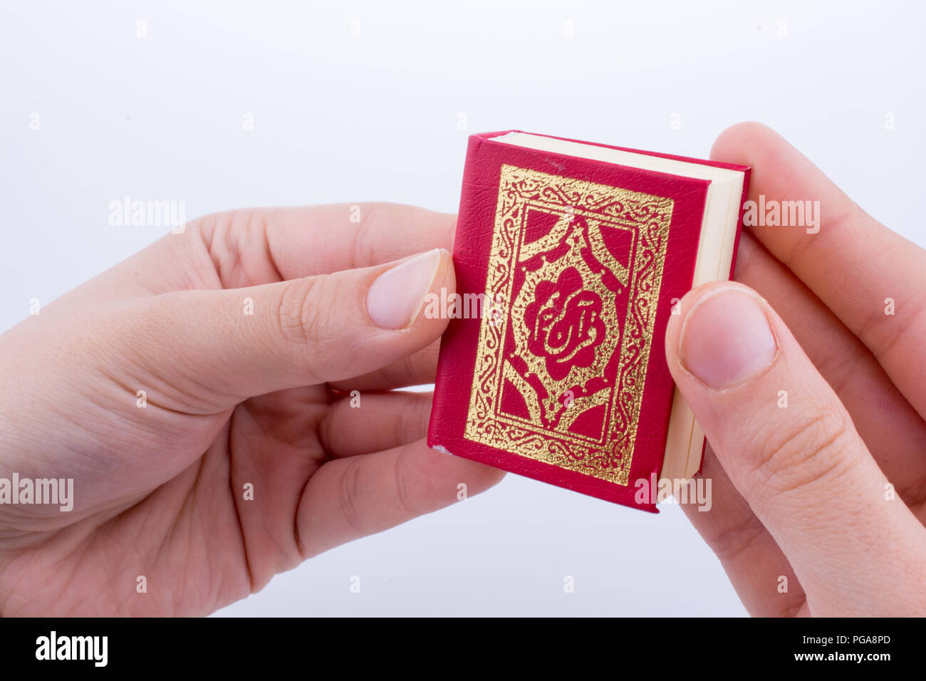 Hand holding The Holy Quran on a white background Stock Photo - Alamy