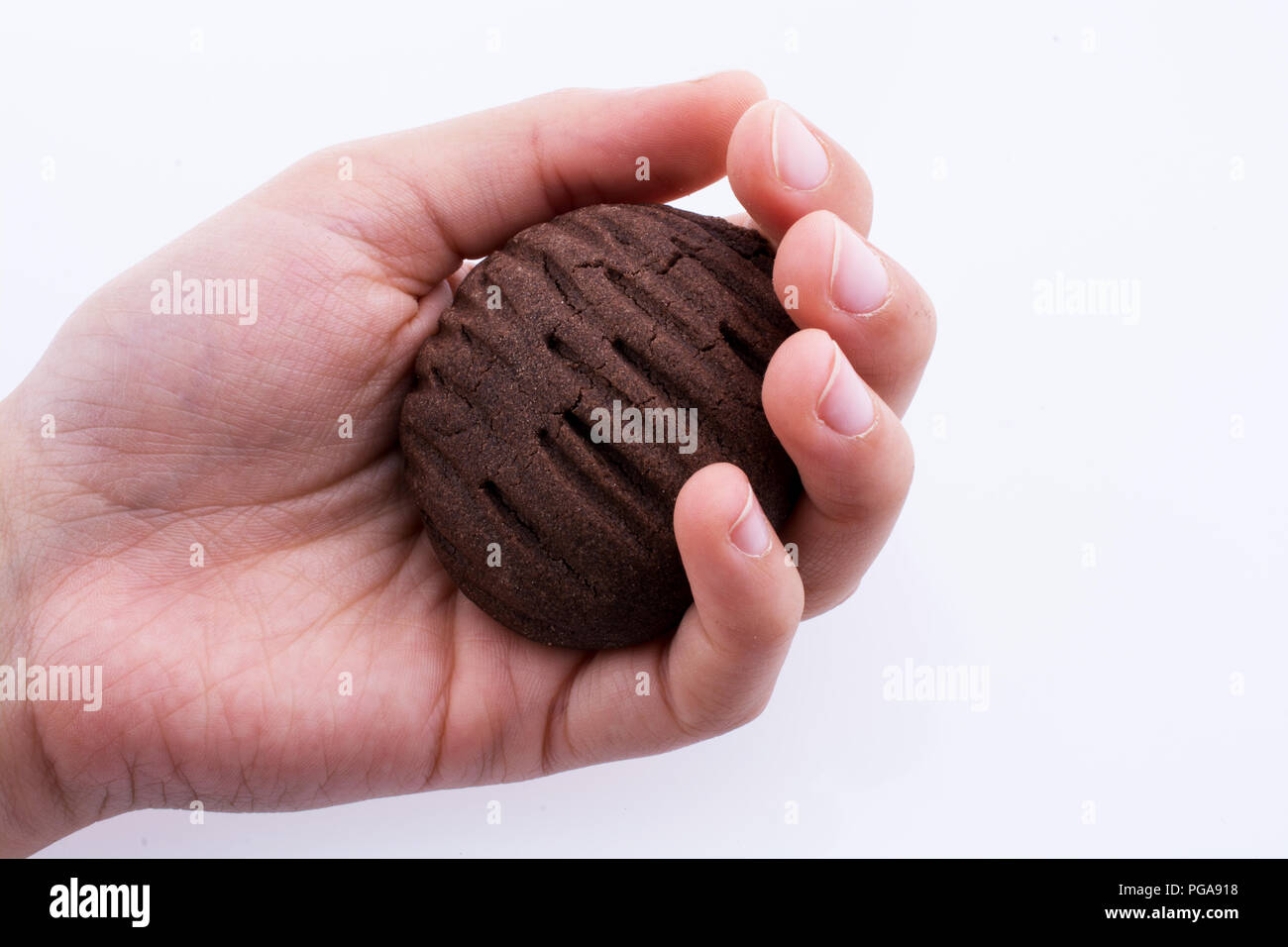 Hand holding a chocolate cookie on a white background Stock Photo - Alamy