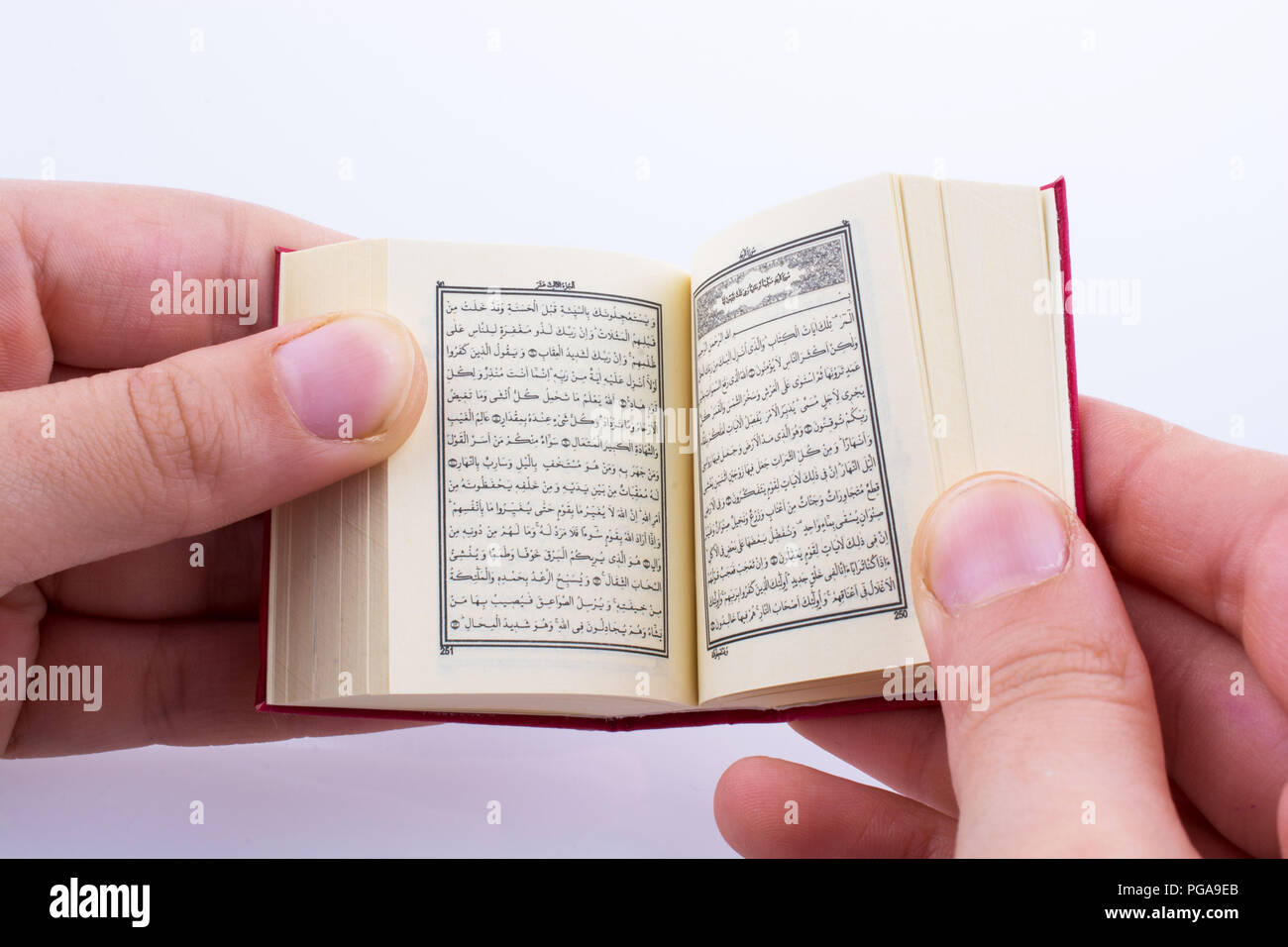 Hand holding The Holy Quran on a white background Stock Photo - Alamy