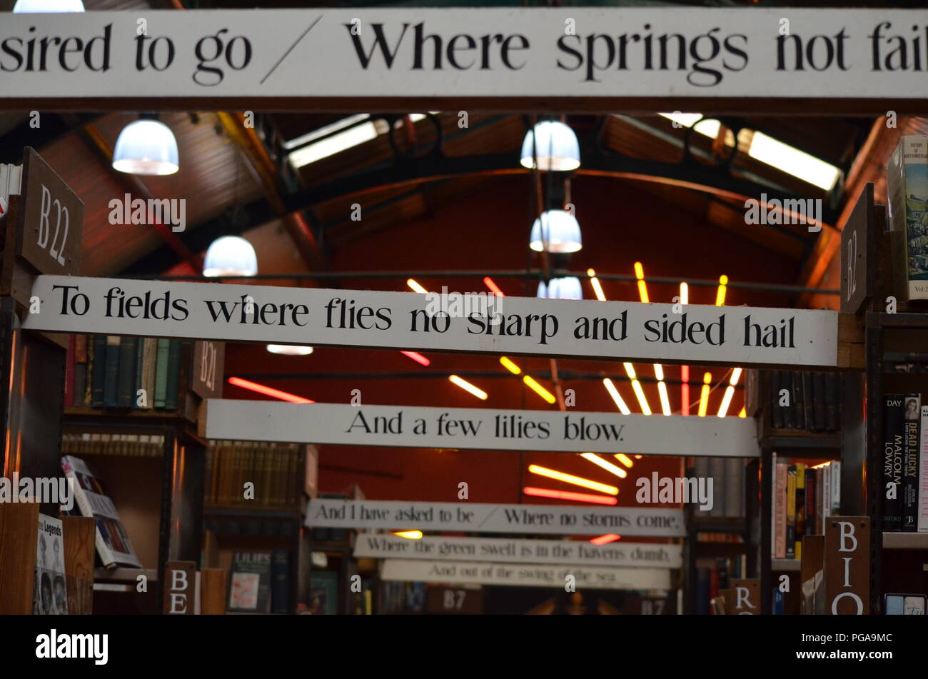 Inspirational poem quotes in library. Warm, modern/vintage Stock Photo ...