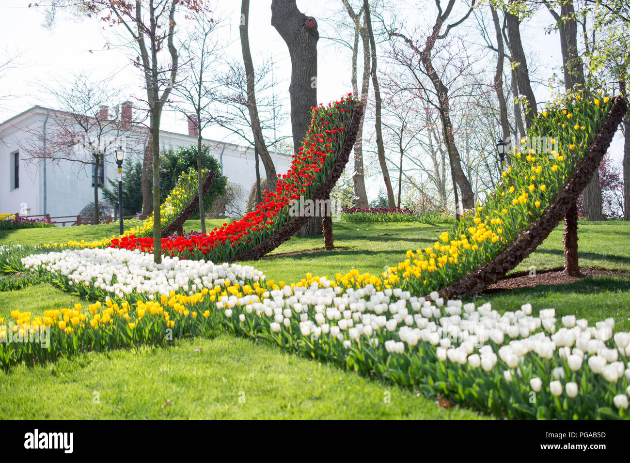 Tulip garden full of various colors of tulips in spring Stock Photo - Alamy