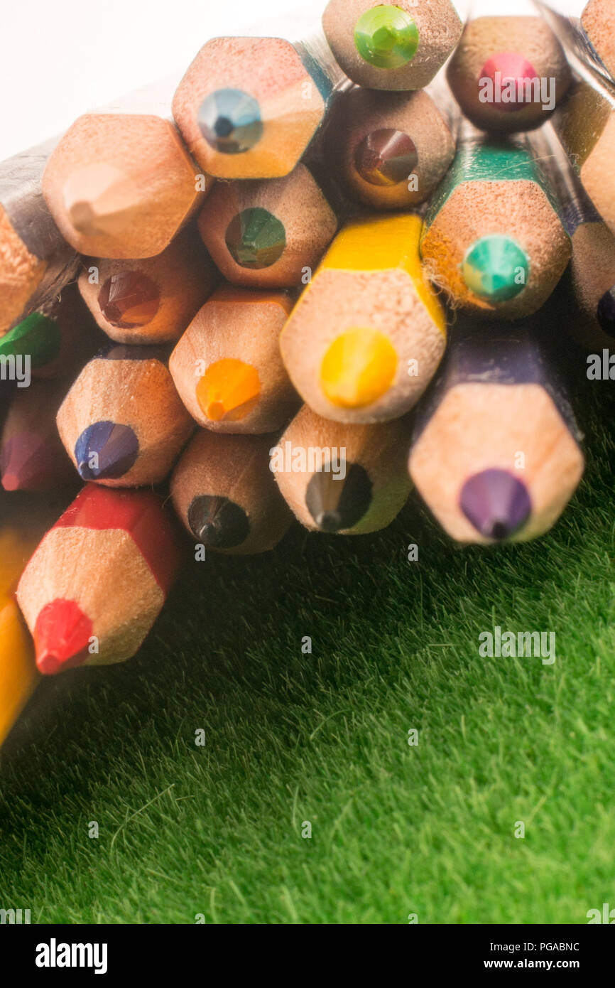 Color pencils scattered on green grass Stock Photo - Alamy