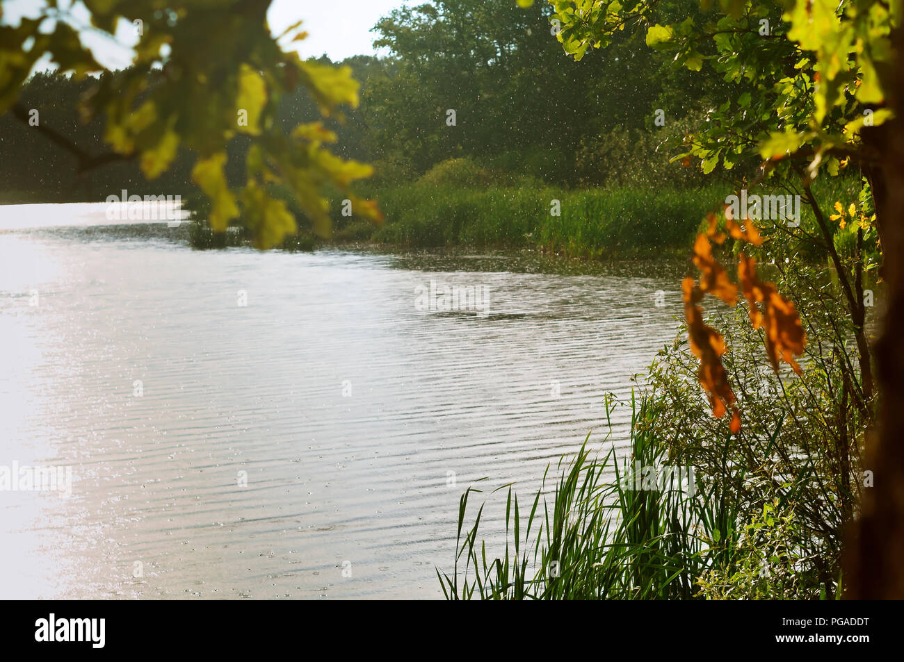 Rainy weather with sun hi-res stock photography and images - Alamy
