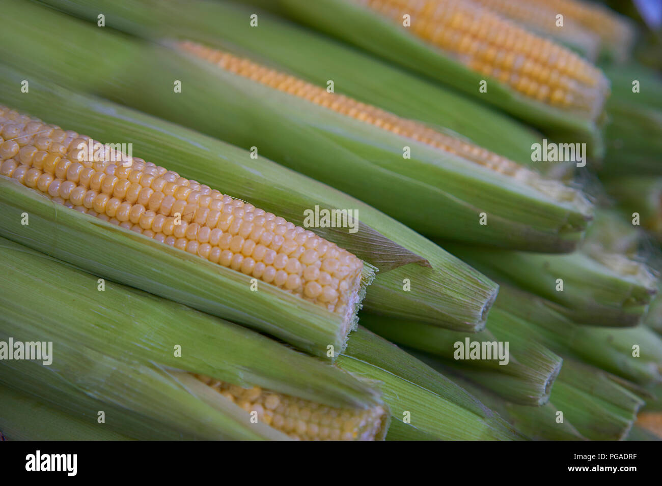 Raw corns in a row in a open market Stock Photo - Alamy